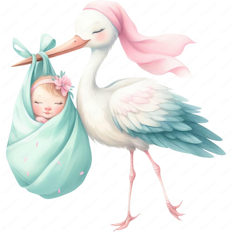 Stork Baby Girl Clipart Bundle: Newborn Art Designs (digital Download ...