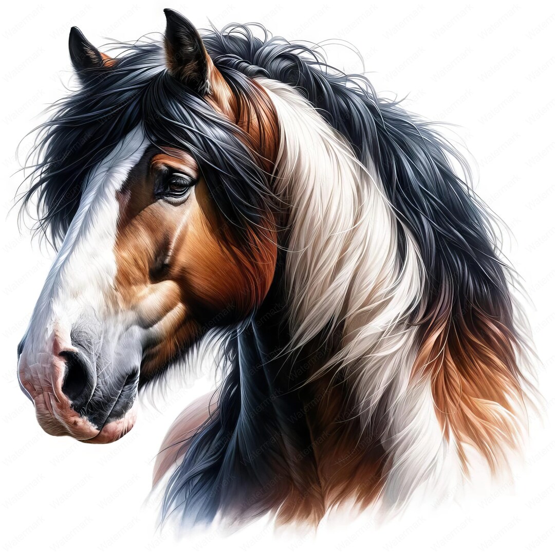 Shire Horse Clipart | Majestic Shire Horse Clipart Bundle | 10 High ...