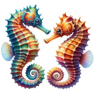 Colorful Seahorse Clipart | Colorful Seahorse Clipart Bundle | 10 High ...