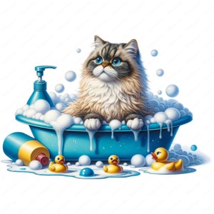 Bath Cat Clipart | Adorable Bath Cat Clipart Bundle | 10 High-quality ...