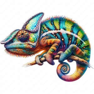 Colorful Chameleon Clipart Bundle: Reptile Art Printables (commercial ...
