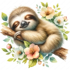 Baby Sloth Clipart Bundle: Wildlife Art Printables (commercial Use ...