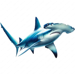 Hammerhead Shark Clipart Bundle: Ocean Life Art (digital Download) - Etsy
