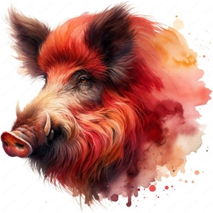 Wild Boar Clipart | Clipart Bundle | 10 High-quality Designs | Wall Art ...