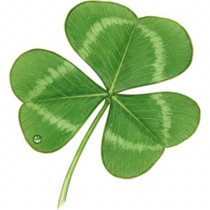Shamrock Clipart | Shamrock PNG Bundle | Clover Watercolor Designs ...