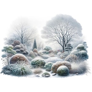 Winter Garden Clipart | Enchanting Winter Garden Clipart Bundle | 10 ...