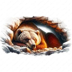 Hibernating Bear Clipart | Cozy Hibernating Bear Clipart Bundle | 10 ...