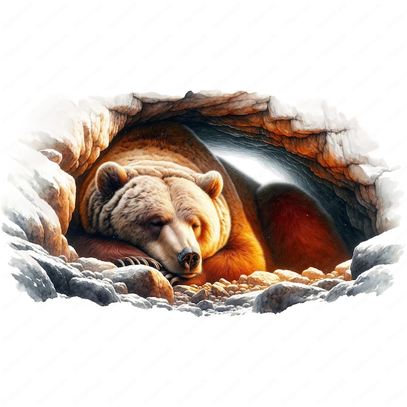 Hibernating Bear Clipart Bundle: Cozy Winter Animal Art (digital ...