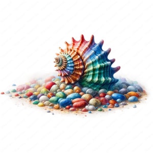 Colorful Seashell Clipart: Beach Art Printables (digital Download) - Etsy