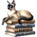 Library Cat Clipart | 10 High-quality Designs | Bookworm Cat ...