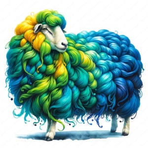 Colorful Sheep Clipart Clipart Bundle 10 Vibrant Images Animal Art ...