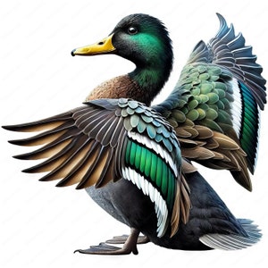 Cayuga Clipart | Elegant Cayuga Clipart Bundle | 10 High-quality ...