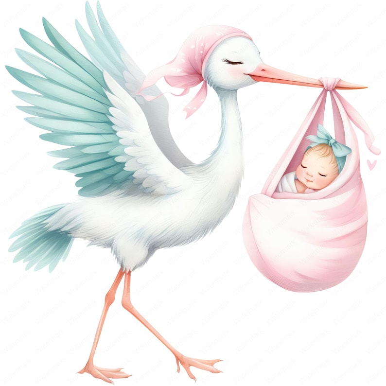 Stork Baby Girl Clipart Bundle: Newborn Art Designs (digital Download ...