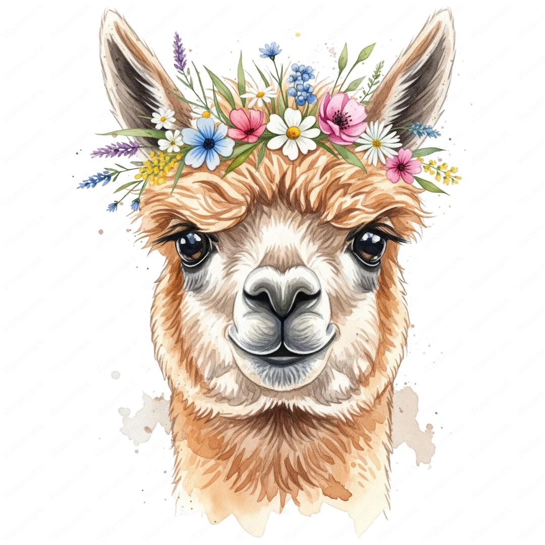 Watercolor Alpaca Clipart: Floral Animal PNG Designs (commercial Use ...