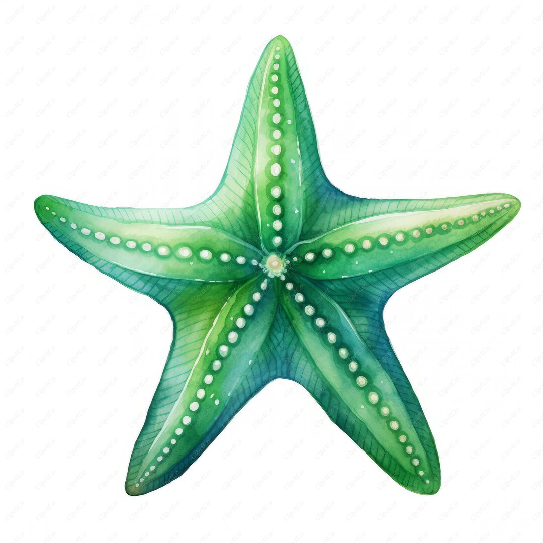 Smaragd Seestern Clipart 10 Hochwertige Bilder Wandkunst - Etsy.de
