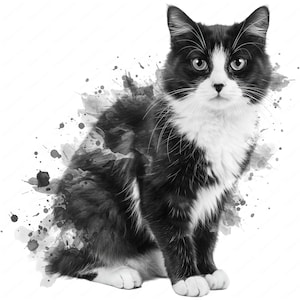 Watercolor Cat Clipart: Black & White Feline PNG Bundle (digital ...