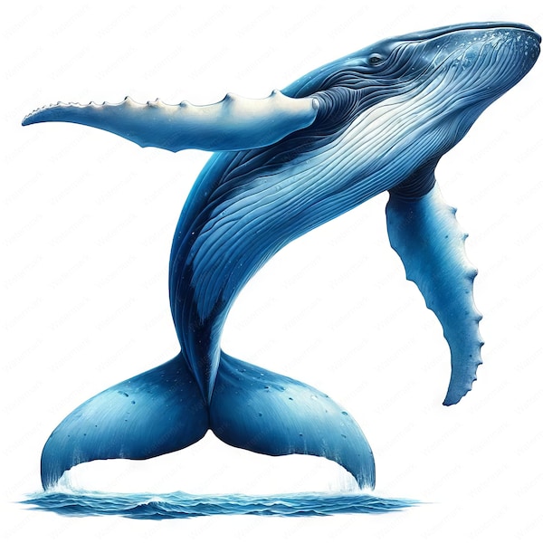 Blue Whale Clipart - Etsy