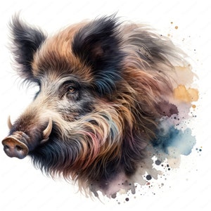 Wild Boar Clipart Clipart Bundle 10 High-quality Images Wall Art Paper ...