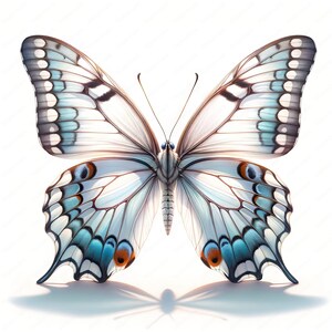 Vivid Butterfly Clipart Colorful Butterfly Clipart Bundle - Etsy