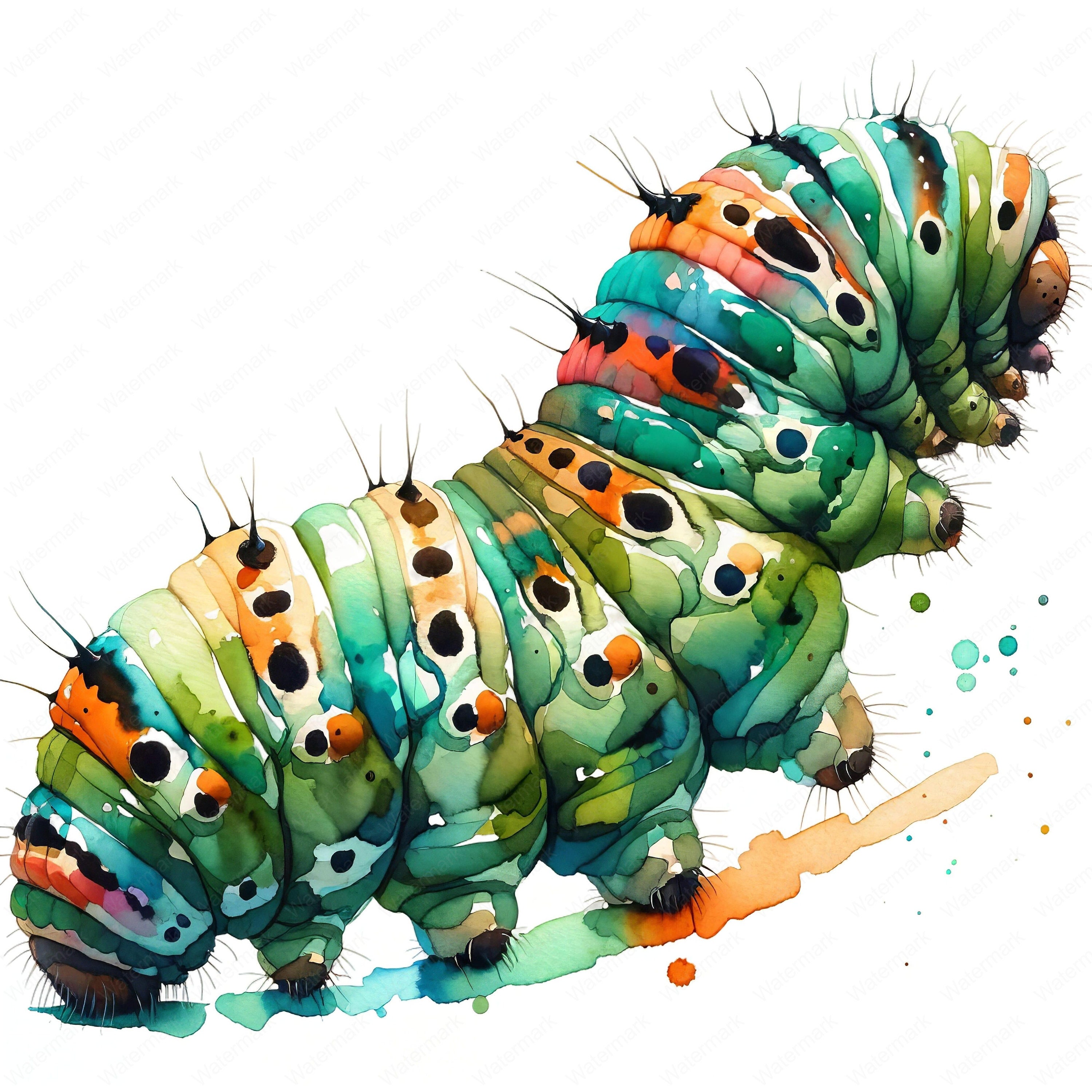 Watercolor Caterpillar Clipart Bundle: Insect Art Printables (digital ...