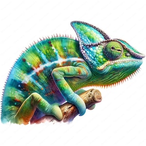 Colorful Chameleon Clipart Bundle: Reptile Art Printables (commercial ...