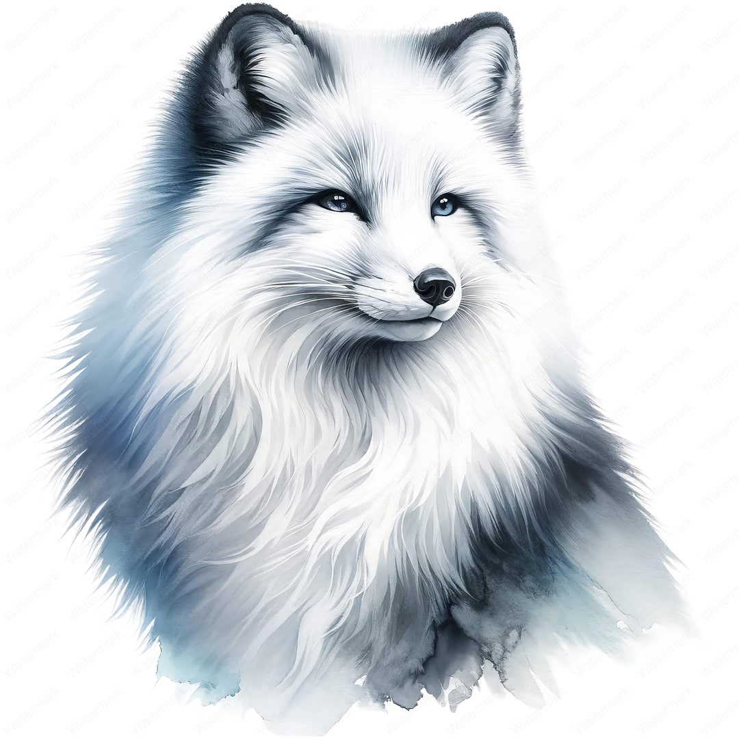 Arctic Fox Clipart Bundle: 10 Wildlife Art Designs (digital Download ...