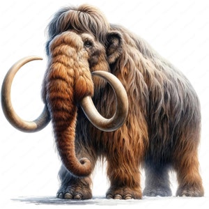 Woolly Mammoth Clipart | Majestic Woolly Mammoth Clipart Bundle | 10 ...