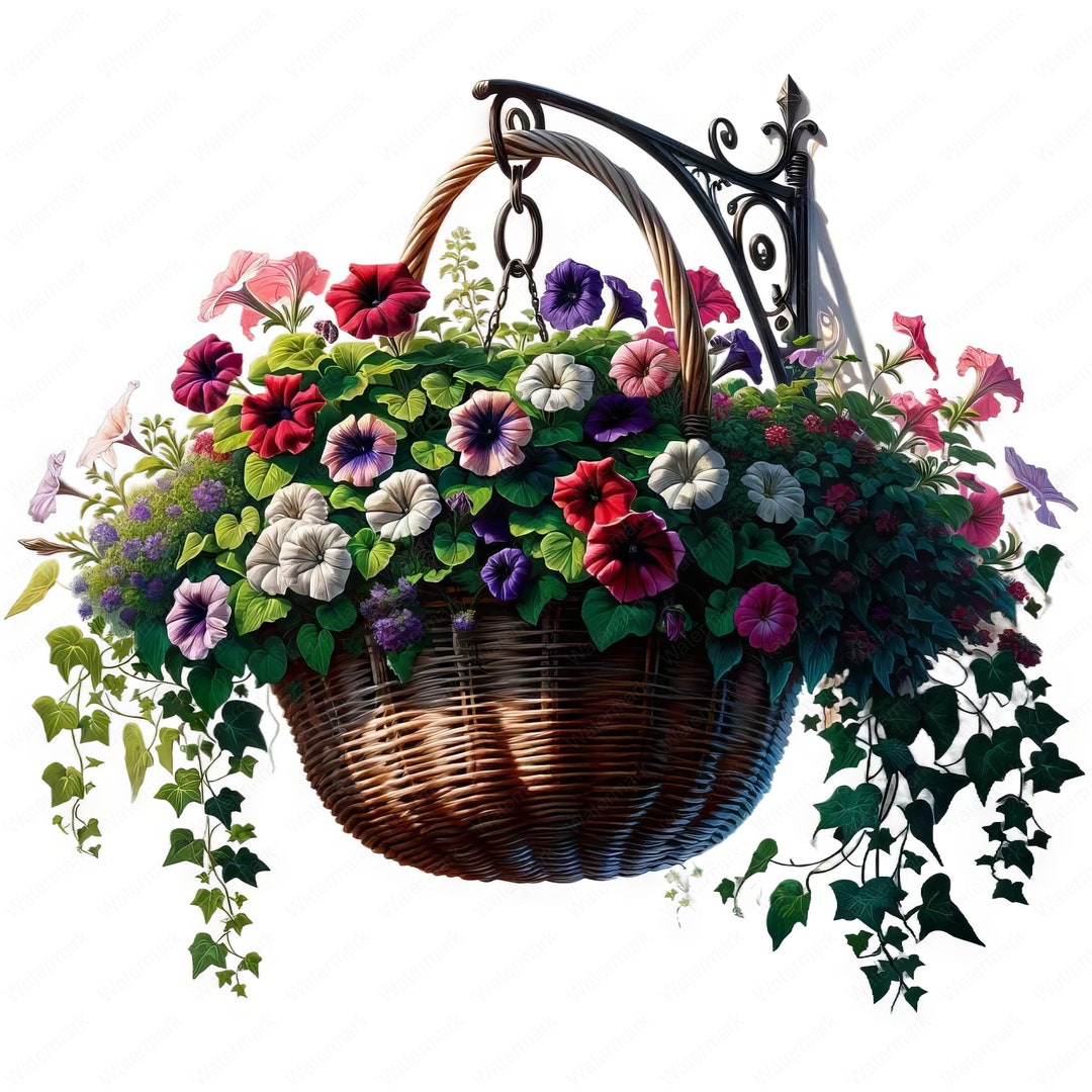 Hanging Basket Clipart Elegant Hanging Basket Clipart Bundle 10 High ...