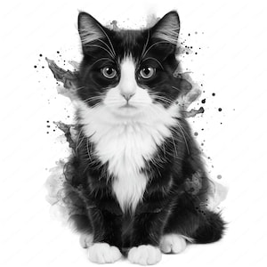 Watercolor Cat Clipart: Black & White Feline PNG Bundle (digital ...
