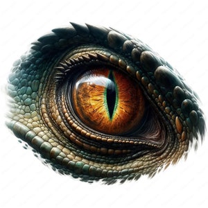 T-rex Eye Clipart | Intense T-rex Eye Clipart Bundle | 10 High-quality ...