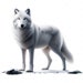 Arctic Wolf Clipart | Full Body Arctic Wolf Clipart Bundle | 10 High ...