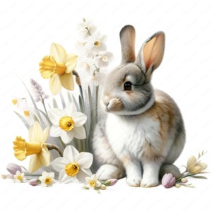 Spring Rabbit Clipart | Charming Spring Rabbit Clipart Bundle | 10 High ...