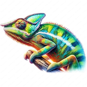 Colorful Chameleon Clipart Bundle: Reptile Art Printables (commercial ...