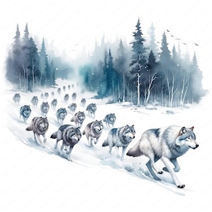 Wolf Pack in Snow Clipart | Majestic Wolf Pack Clipart Bundle | 10 High ...