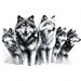 Wolf Pack Clipart | Dynamic Wolf Pack Clipart Bundle 01 | 10 High ...