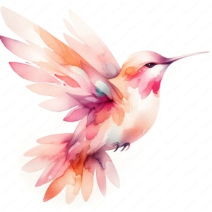 Hummingbird Clipart Abstract Clipart 10 High Quality JPG Wall Art Paper ...