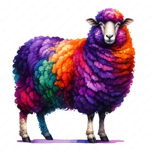 Colorful Sheep Clipart Clipart Bundle 10 Vibrant Images Animal Art ...