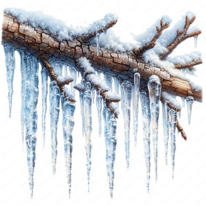 Icicles on Branch Clipart Icicle Clipart Bundle 10 High-quality Images ...