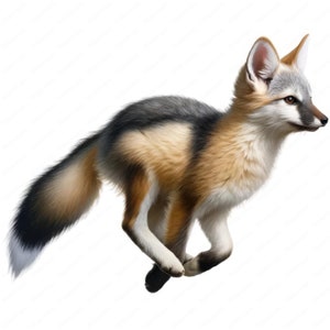 Cute Kit Fox Clipart | Adorable Cute Kit Fox Clipart Bundle | 10 High ...