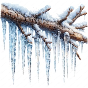 Icicles on Branch Clipart | Icicle Clipart Bundle | 10 High-quality ...
