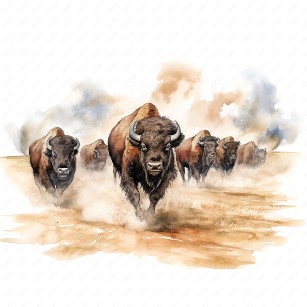 Bison Art - Etsy
