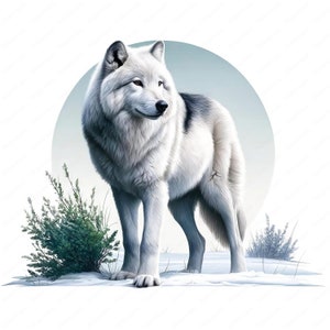 Arctic Wolf Clipart | Full Body Arctic Wolf Clipart Bundle | 10 High ...
