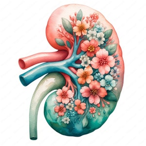 Floral Kidney Clipart | Beautiful Floral Kidney Clipart Bundle | 10 ...