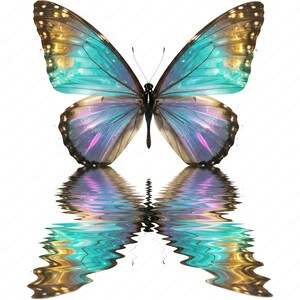 Reflective Butterfly Clipart: Water Art PNG Bundle (digital Download ...