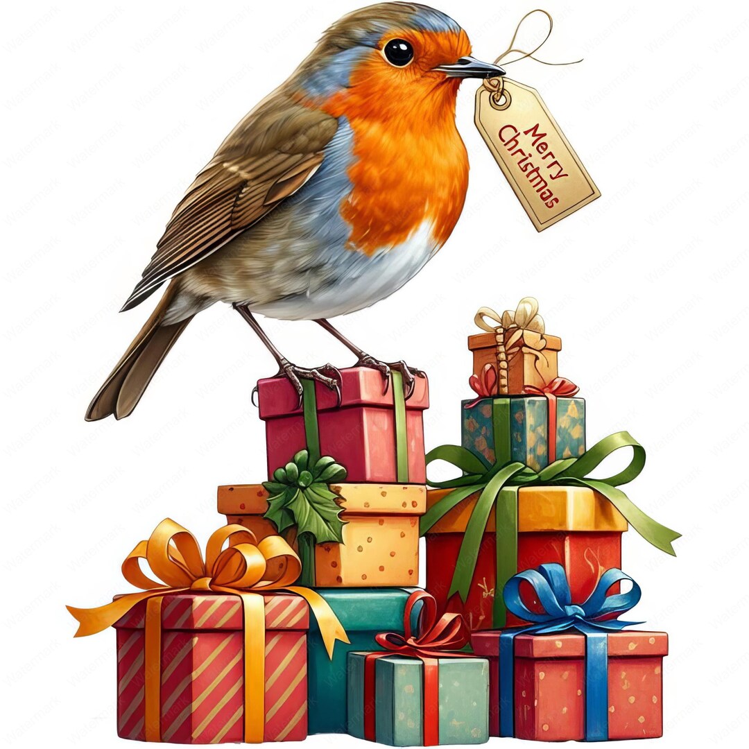 Christmas Robin Clipart | Festive Robin Clipart Bundle | 10 High ...
