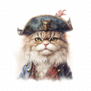 Pirate Cat Clipart 12 High-quality Jpgs Wall Art Paper - Etsy