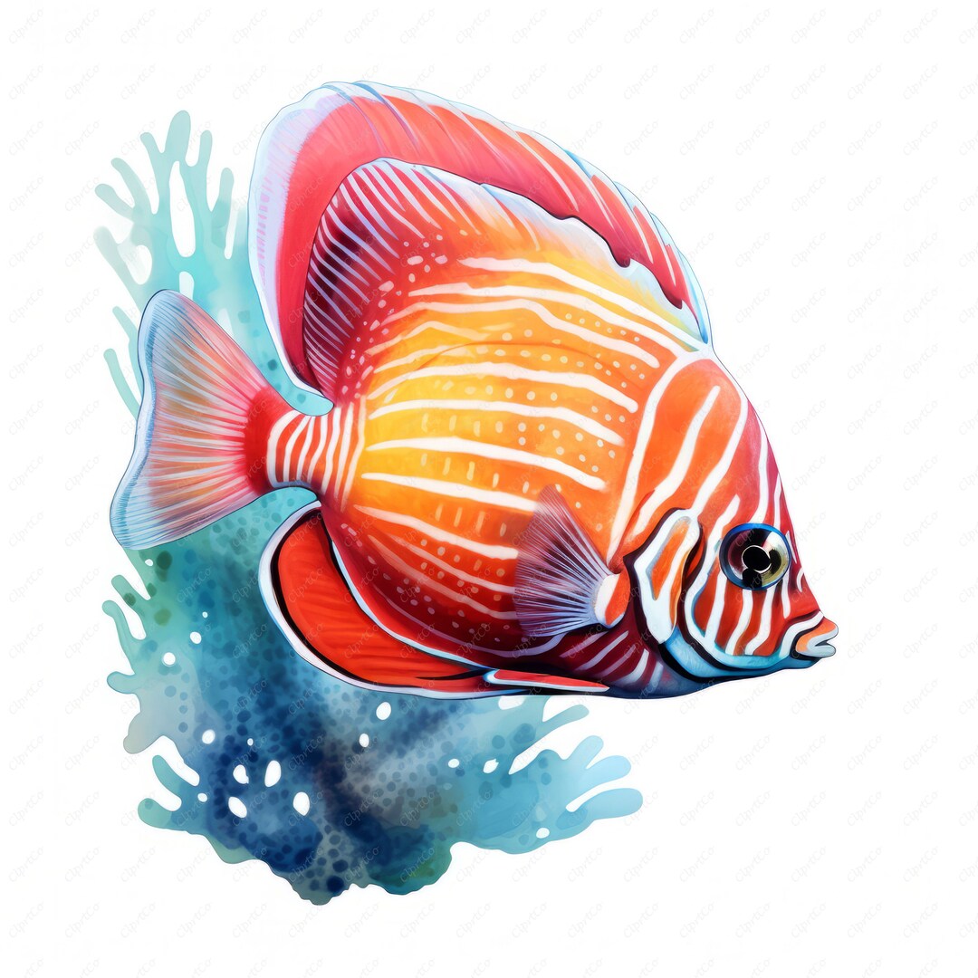 Coral Butterflyfish Clipart 10 High-quality Images Wall Art Paper Craft ...