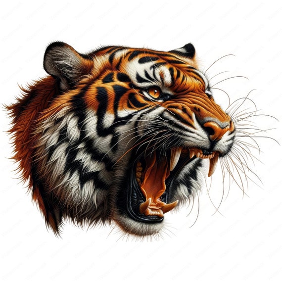 Wilder Tiger Clipart Chinesischer Tiger Unter Bambus. Wilder