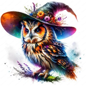 Witch Owl Clipart | Mystical Witch Owl Clipart Bundle | 10 High-quality ...