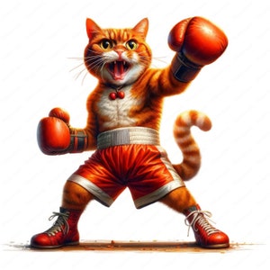 Boxing Cat Clipart | Fierce Boxing Cat Clipart Bundle | 10 High-quality ...